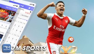 7m Livescore - Tỷ số bóng đá trực tuyến